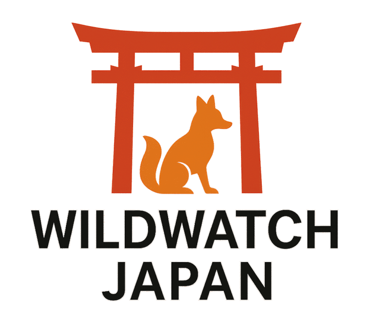 Japanese Serow – Mountain Mammal of Japan | Wildlife of Japan